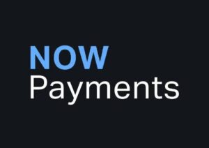 🥇 Now Payments ️ Revisión ️ Ventajas ️ Desventajas